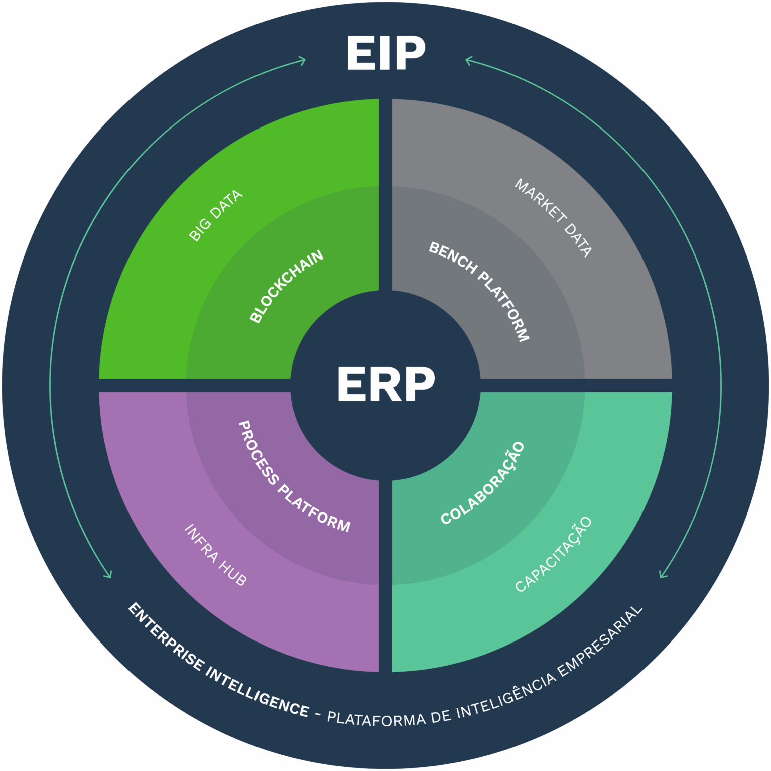 O que é EIP (Enterprise Intelligence Platform)? - Sankhya